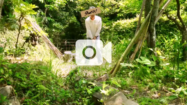 プロのアドバイス | Vision72