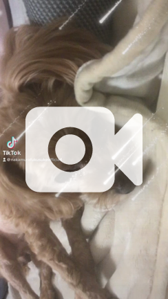 2023/05/04 | 中村福助オフィシャルブログ「歌舞伎風に吹かれて」Powered by Ameba