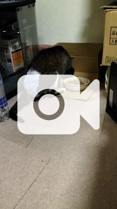 ももが！ | Horizontal Grays Ai&Reina