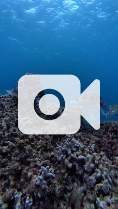 2025/05/24 | ocean-studioのブログ