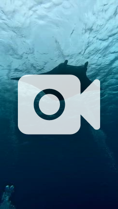 2025/06/01 | ocean-studioのブログ