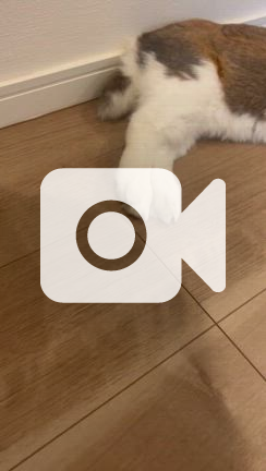 可愛い♡ | matsuko（りんか＆あんなの母）オフィシャルブログ Powered by Ameba