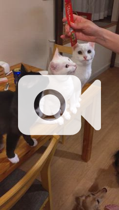 気づいたら… | AGGIO CREATE（アッジオクリエイト）