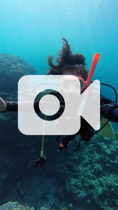 2025/06/27 | ocean-studioのブログ