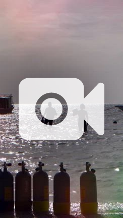 2025/04/14 | ocean-studioのブログ