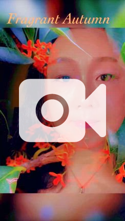 Fragrant Autumn - 金木犀 TANKA | 徒花