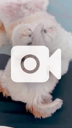 こんにちは／(^o^)\／(^o^)\／(^o^)\ | ramunikoのしあわせ日記