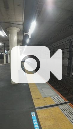 東京駅開業110周年記念号E655系和号 | raiciyoさんのﾌﾞﾛｸﾞ
