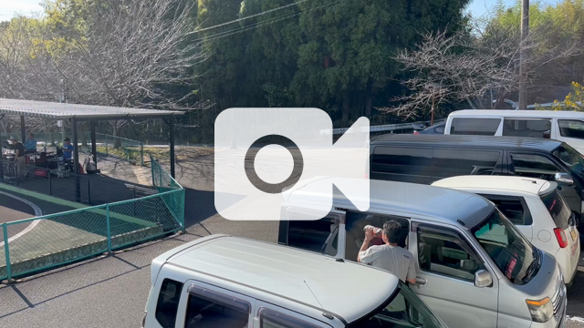 11月ですが | MODELMART オフィシャルブログPART3